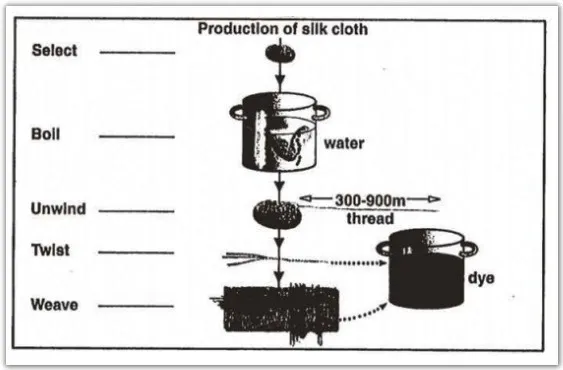 IELTS Task 1: Process - The diagrams below show the life cycle of